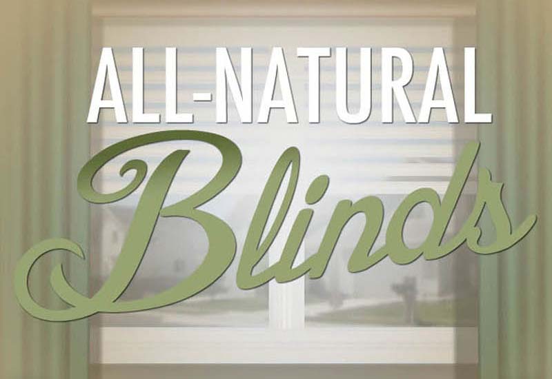 The History of Window Blinds
