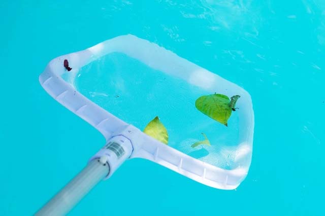 Swimming Pool Maintenance Cheat Sheet